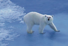 Abenteuer Franz-Josef-Land